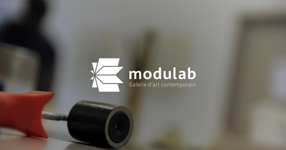 Artistes - Galerie Modulab